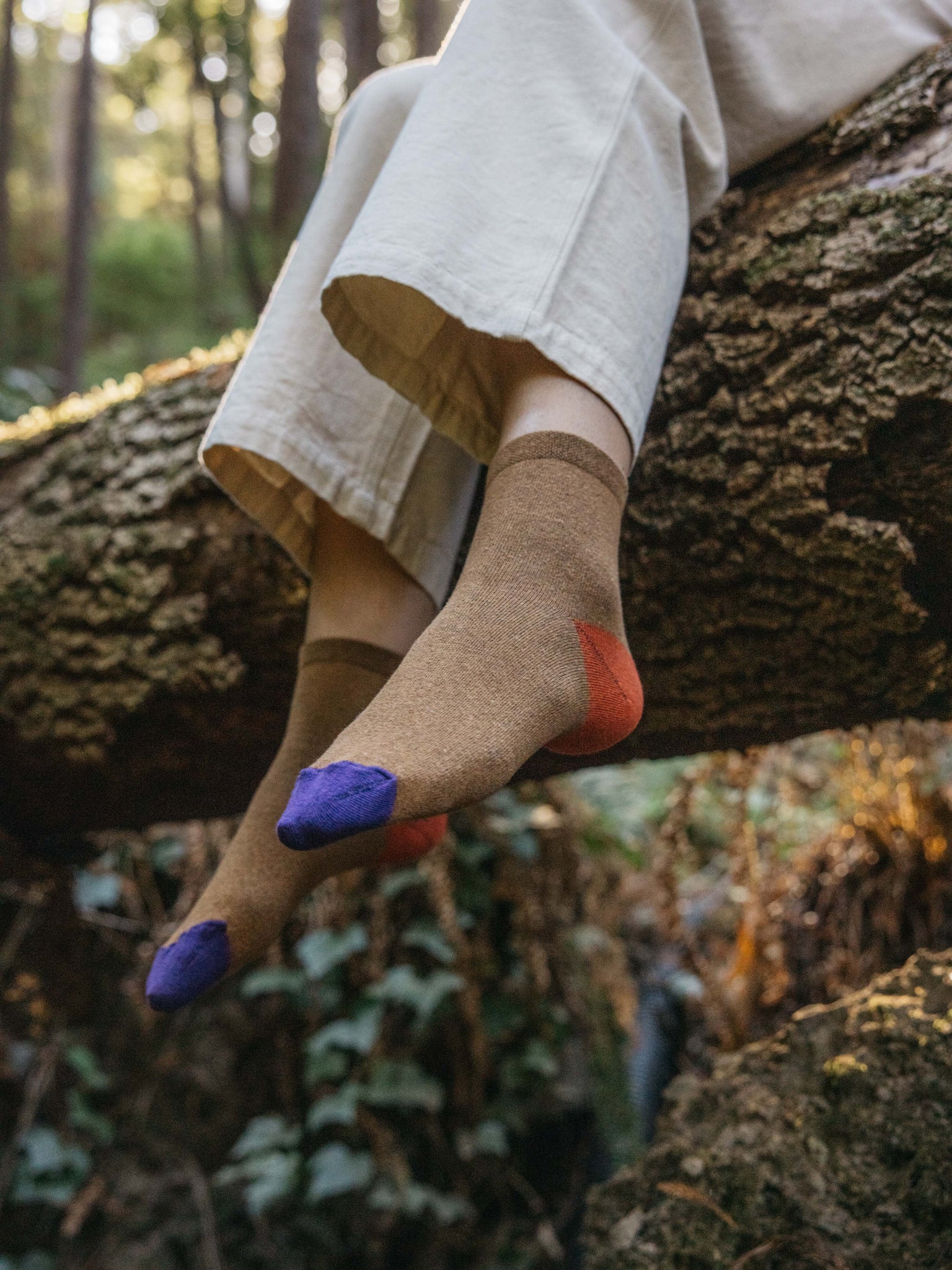 Color Block Sock – Mollusk Surf Shop